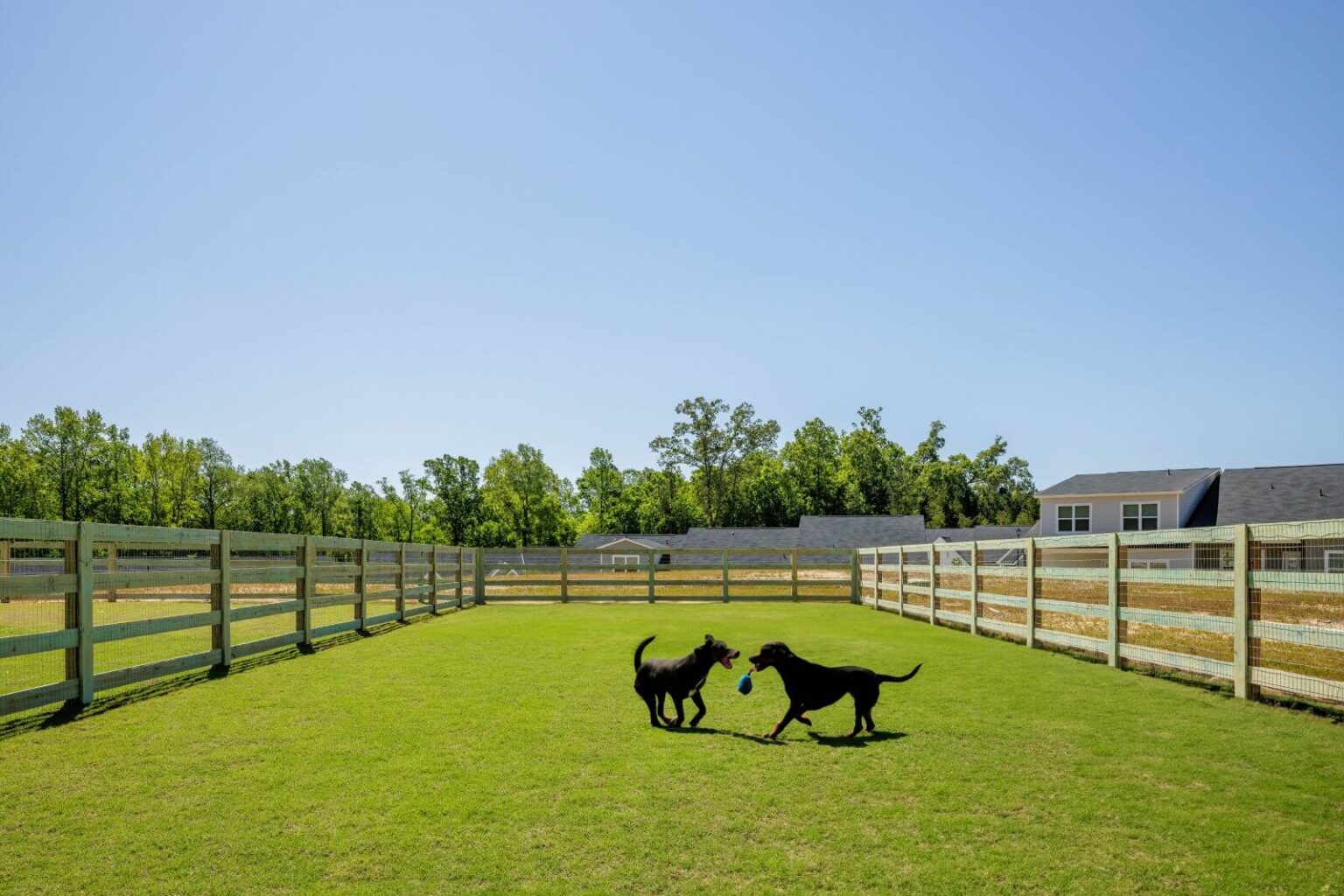 Home - Jim Chapman Construction Group