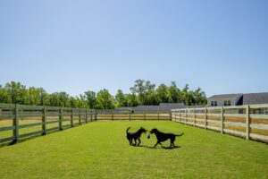 Home - Jim Chapman Construction Group